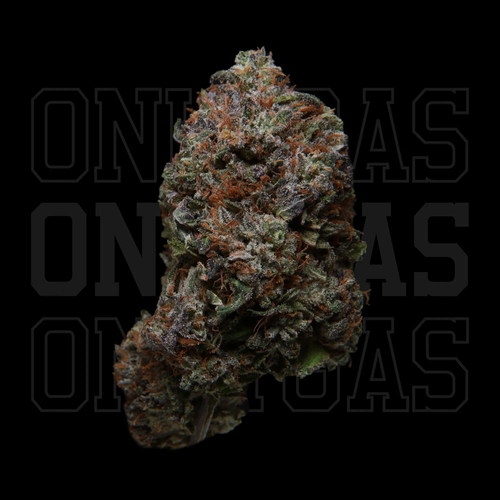 Contact Us - ONLYGAS