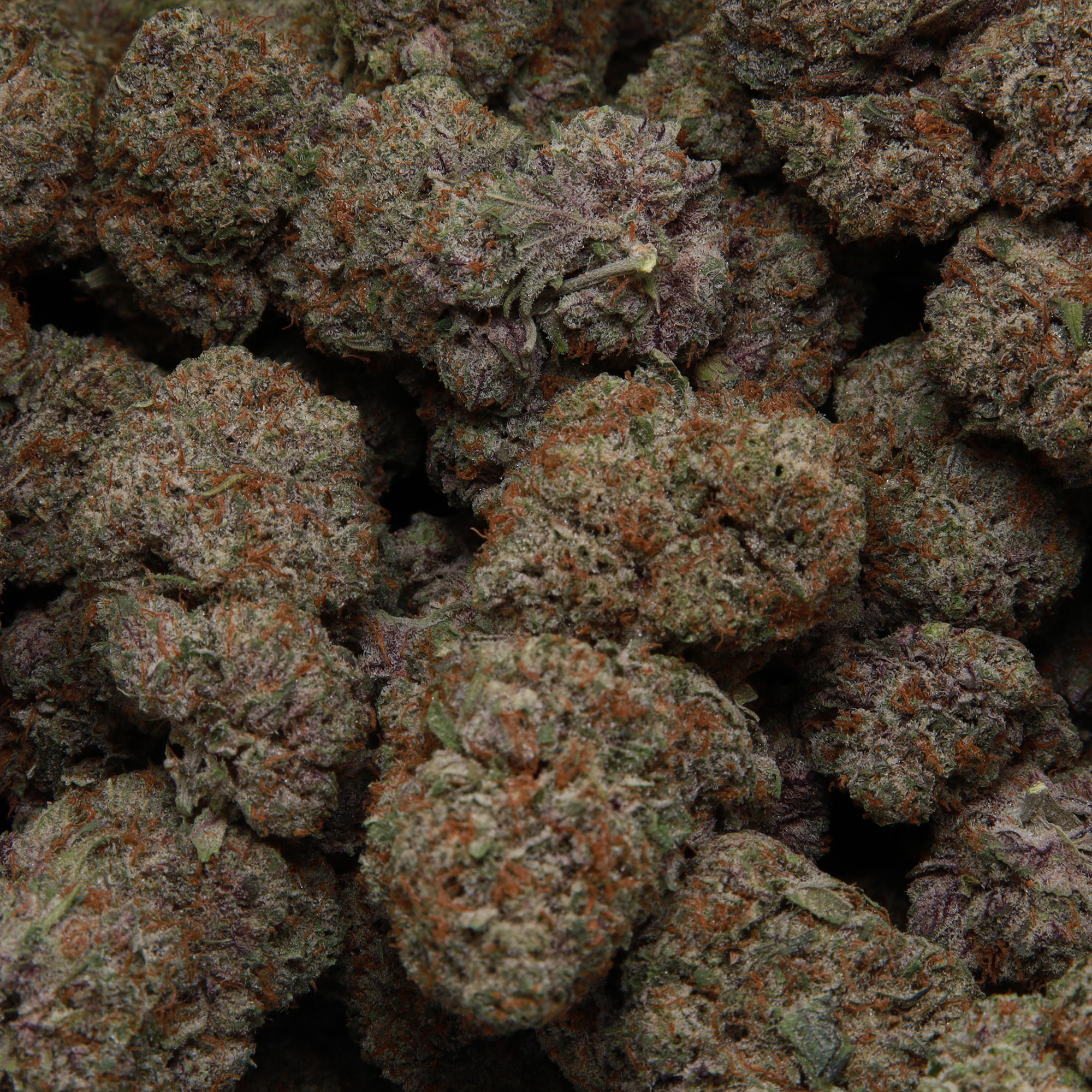 Bluefin Tuna — AAA — Indica - ONLYGAS